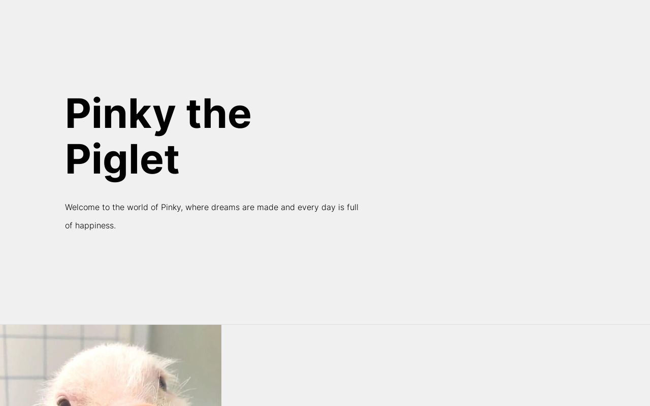 Pinky The Piglet
